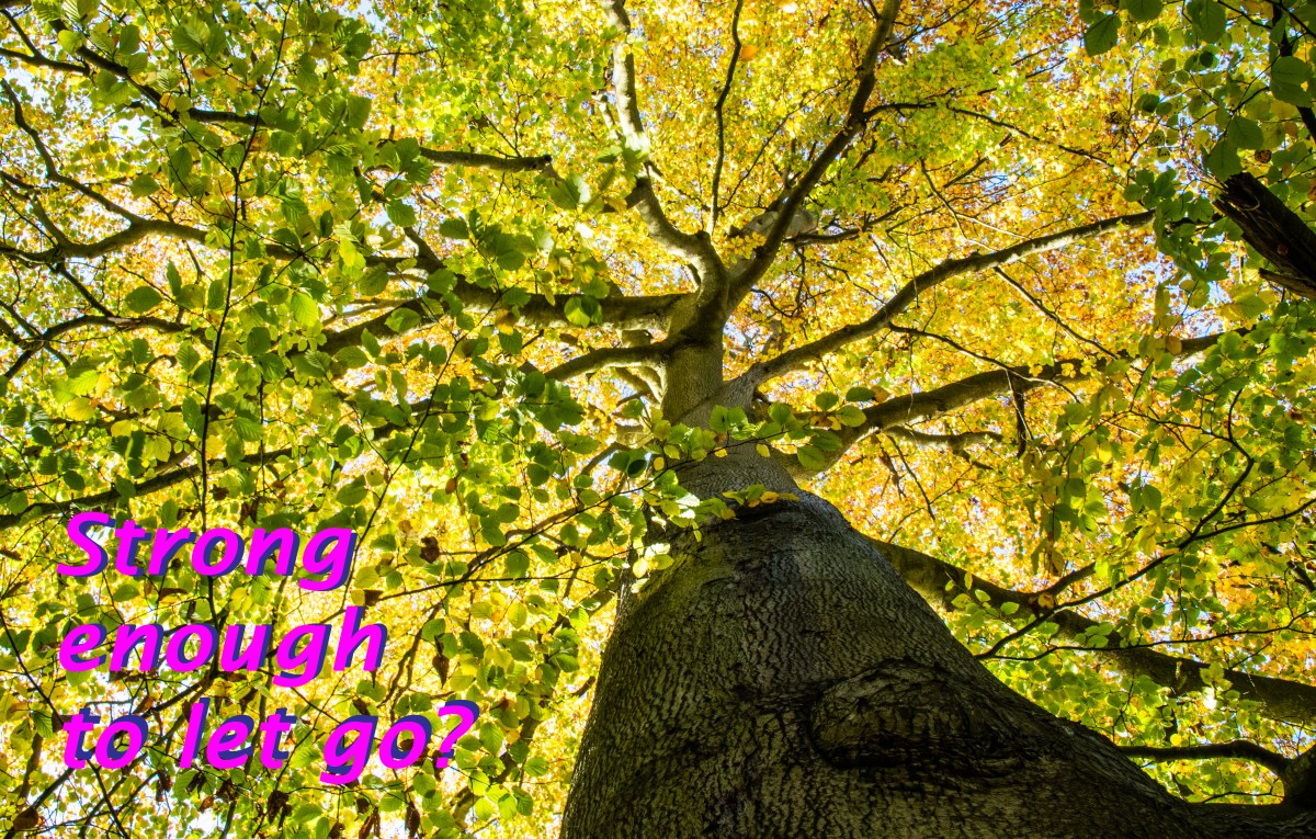 Strong enough to let go – Look, See, Pray – The Reflectionary