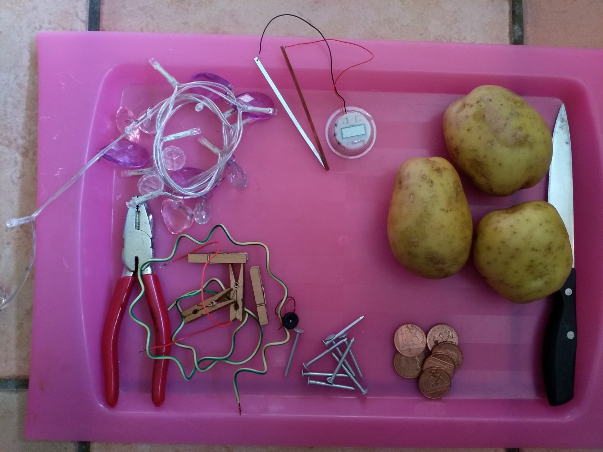 Spud-Power! Extraordinary hidden in the ordinary – The Reflectionary