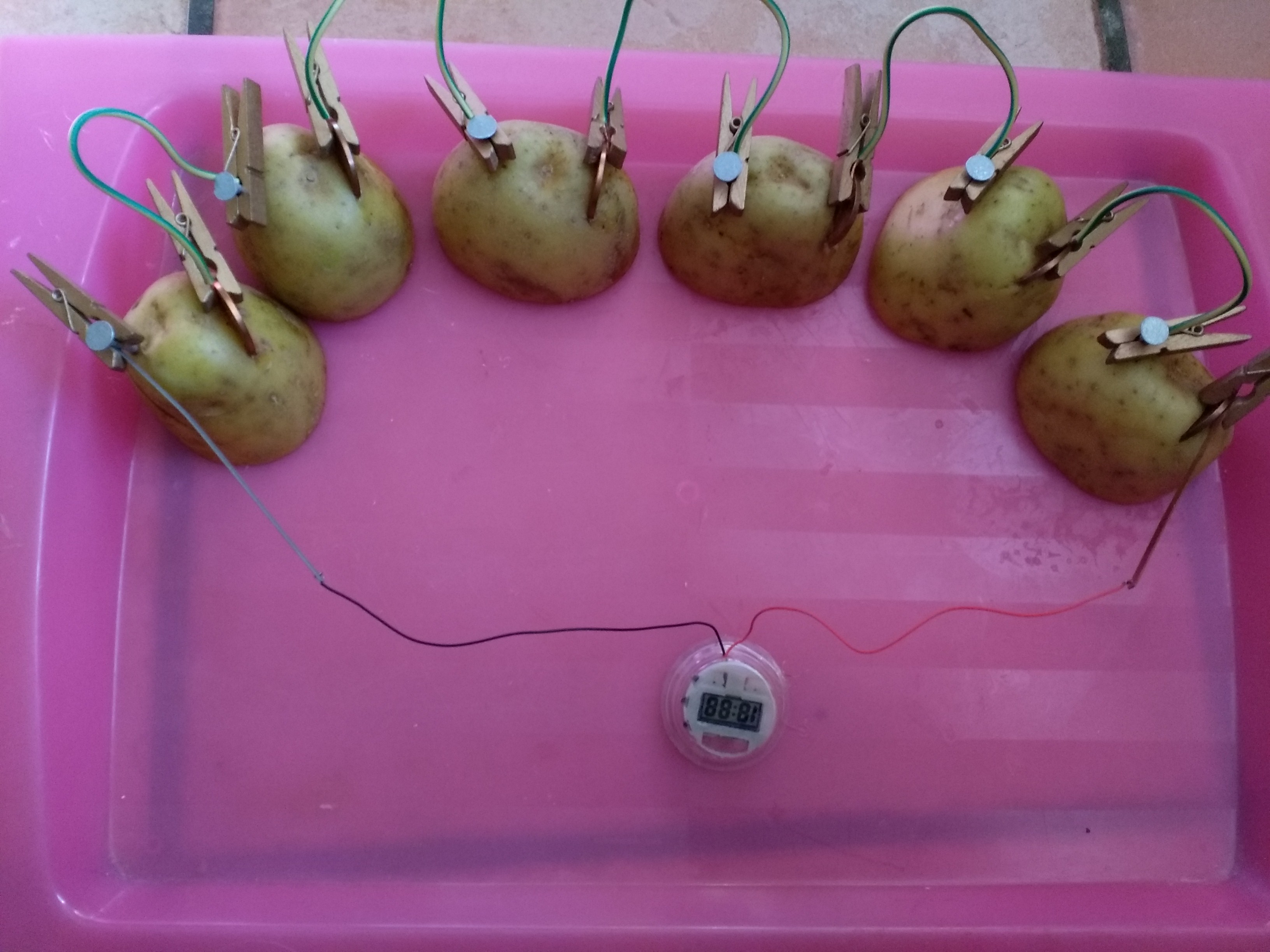 Spud-Power! Extraordinary hidden in the ordinary – The Reflectionary