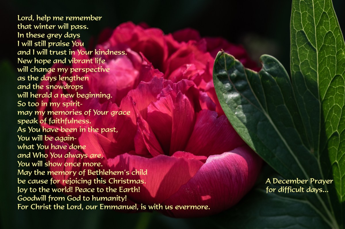 A December Prayer- Look, See, Pray – The Reflectionary